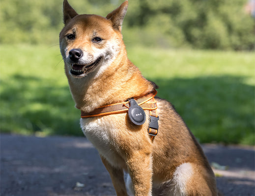 Mous | AirTag Keychain Case